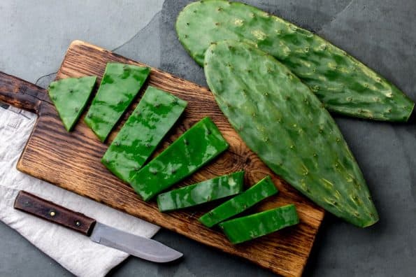 9 Benefits of Succulents - Gardential.com