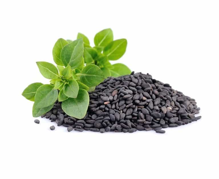 How To Grow Basil From Seed? - Gardential.com